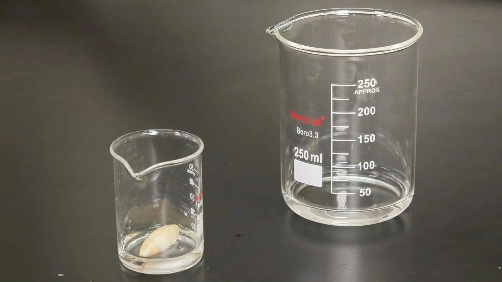 How to Clean a PTFE Magnetic Stir Bar Using Piranha Solution? - – StonyLab